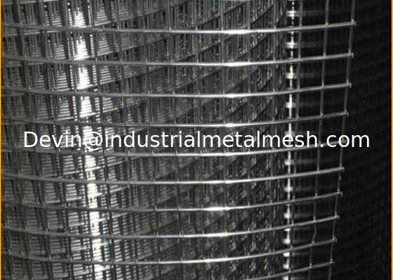 Stainless Steel Welded Wire Mesh For Fencing supplier