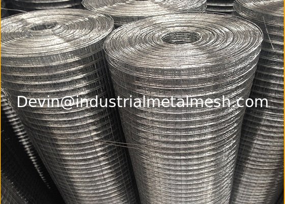 1/2'' Mesh Hole 18 20 Gauge Wire Galvanized Welded Wire Mesh supplier
