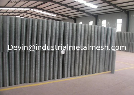 1'' Iron Mesh 1/4'' Hot Dipped Galvanized Welded Wire Mesh For Construction supplier