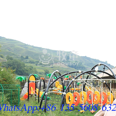 COWBOY selling durable and unique outdoor kids playground for school supplier