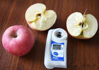 Fast Food Inspection Services , Fruit Quality Control Wide Service Network