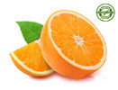Fast Food Inspection Services , Fruit Quality Control Wide Service Network