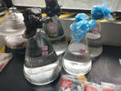 Reliable Raw Material Product Testing Lab Inspection Report Within 48 Hours