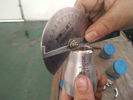 Flanges Coupling Pipeline Inspection Services Oil And Gas Industry