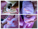Check Supplier Capabilities Ensure Product Quality Service Widely Network Cover