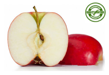 Fast Food Inspection Services , Fruit Quality Control Wide Service Network