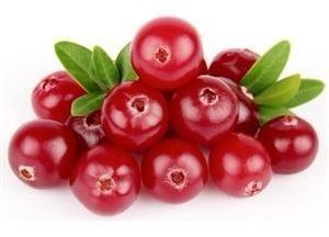 Factory Supply best price 100% Pure Natural Cranberry Extract