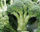 Low Price wholesale natural Broccoli Extract/ broccoli seed extract/ Sulforaphane 10:1 TLC