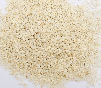 Factory Supply Free Sample High Quality white sesame seed extract/Semen Sesami Nigrum 10:1