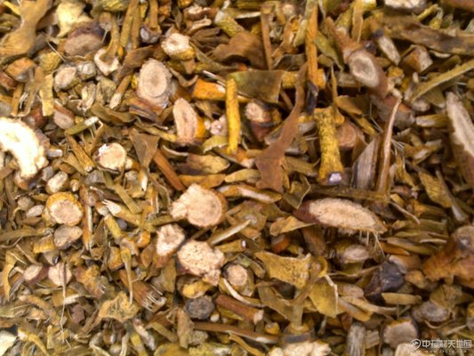 Mistletoe extract(Herba Visci Extract) stem and leaf extract oleanolic acid 10:1 TLC