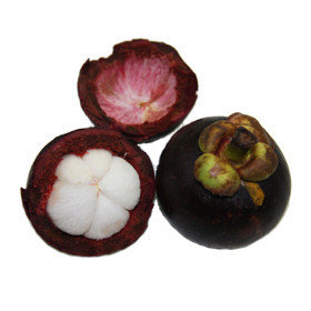 Natural Mangosteen extract / Mangosteen Extract Powder / Mangosteen P. E. /Mangostin