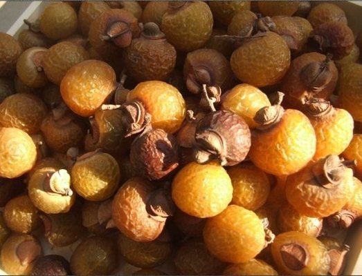 Soapberry Extract, Soap Nut Extract, Soapnut Saponin, Sapindus Extract