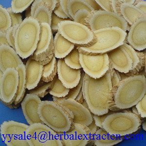 Astragalus extract