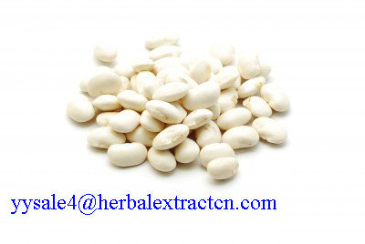 white kidney bean P.E.
