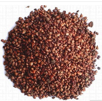 Grape seed extract