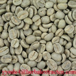 Green Coffee Bean Extract herbal extract  powder