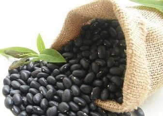 Black Bean Extract