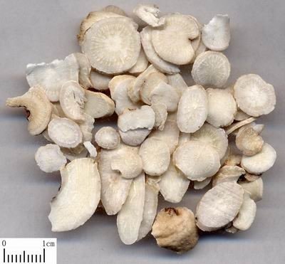 Hot Paeoniflorin/Peony Extract/white peony root extract/Paeonia Lactiflora Pall Extract