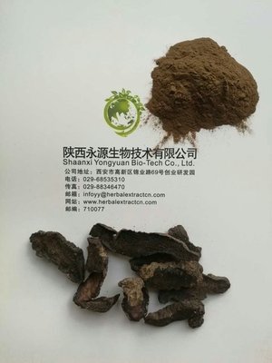 High Quality Natural Radix Rehmanniae Extract,Di huang root powder Extract