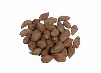 Professional supply Scaphium scaphigerum Extract/Sterculia lychnophora Extract