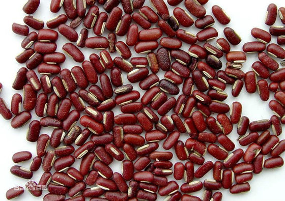 Good Quality Vigna angutaris Extract/Bean Extract/ Vigna Umbeuata Ohwi et Ohashi Extract