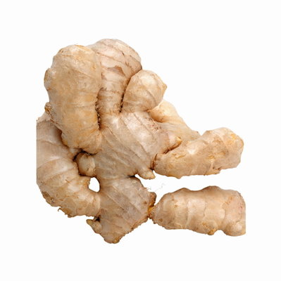 Hot selling product High quality Gingerol 1% Ginger Extract/Black ginger extract
