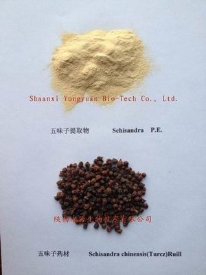 Schisandra Extract, Schisandra chinensis Extract, Fructus Schisandrae chinensis extract