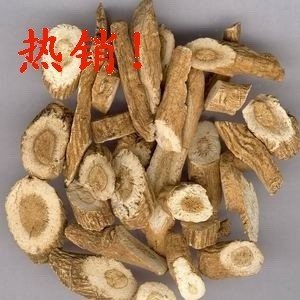 Best Antiviral Natural Extract Top Quality Radix Isatidis Extract Radix Isatidis P.E.