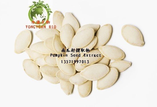 high quality Cucurbita moschata Duchesne Pumpkin Seed Extract