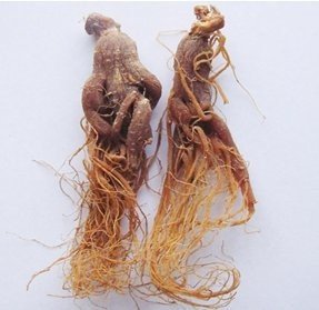 Factory Supply Good price Red Ginseng Extract 5%-80% UV