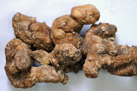 High Quality Solomon's Seal Extract / Huang Jing Extract / Polygonatum Multiflorum Extract