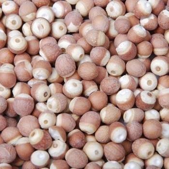 High Quality Natural Plant Semen Euryales Extract 10:1 Gorgon fruit extract powder