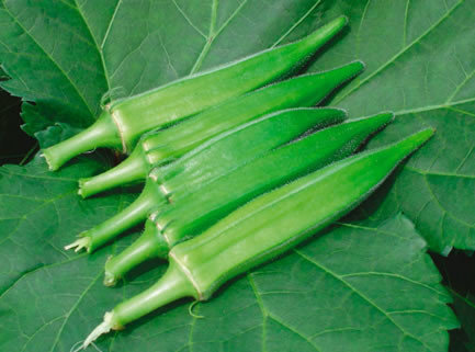 Okra Extract 10:1 Powder Abelmoschus Manihot Extract/Abelmoschus Esculentus Extract