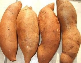 High quality manufacturer Natural Organic Yacon Root Extract Powder Yacon Syrup