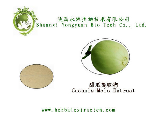 10:1 Cucumis Melo Extract/ Muskmelon Extract/Cucumis Melo Inodorus Fruit Extract