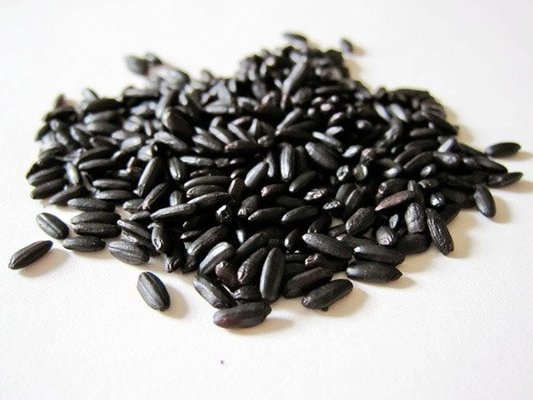 Natural Plant extract Black rice Extract, Black Millet Extract