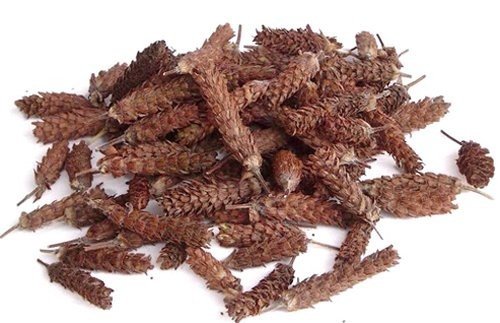 Organic plant MedicinePrunella Vulgaris Extract/ Selfheal Spike Extract 4:1 10:1