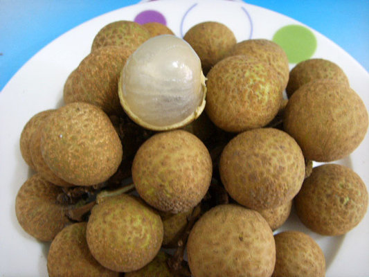 100% natural hot sale best price Longan Extract 10:1