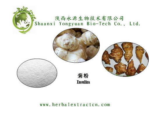 Yongyuan supply New Chicory Root extract, Helianthus Tuberosus Extract,Inulin