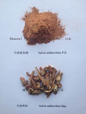 Yongyuan Selling High Quality Salvi Root P.E. or Dan shen P.E. powder wholesale