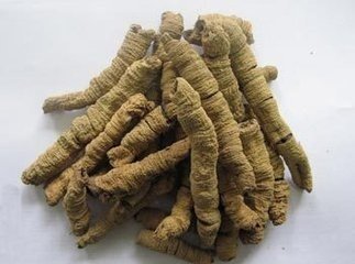 Top Quality Morinda officinalis How Medicinal Indianmulberry Root P.E. Extract