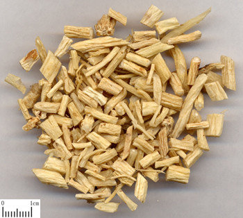 best selling Codonopsis Pilosula Extract 10:1/ Campanumaea pilosula/bastard ginseng