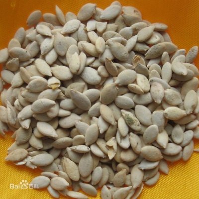 Chinese Waxgourd Seed Extract Powder, Chinese Waxgourd Semen Extract 10:1 TLC