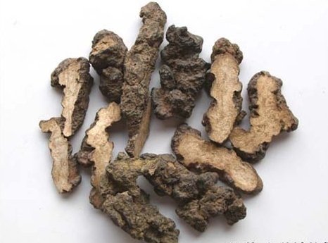 Polysaccharides 30%,3:1 Polyporus Umbellatus Extract, Chuling Sclerotium Extract
