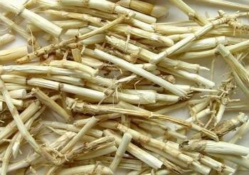 Hot Selling Pure natural plant extract powder Rhizoma Imperatae Extract