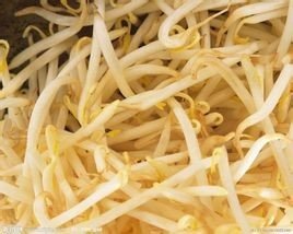 Hot Soya Sprout Powder, Bean Sprout Extract, Green Bean Sprout Extract, Mung Bean Extract
