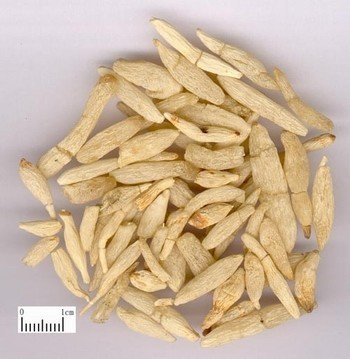 Good Dwarf Lilyturf Tuber Extract,Ophiopogon Thunb Extract, Radix Ophiopogonis Extract