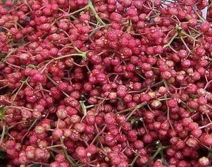 Zanthoxylum Schinifolium Extract Powder,Zanthoxylum bungeanum extract,Prickly Ash Bark P.E