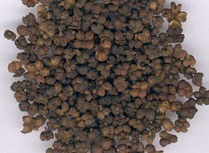 Regulate gastrointestinal tract CAS: 518-17-2medicinal evodia P.E. Extract evodiamine,10%