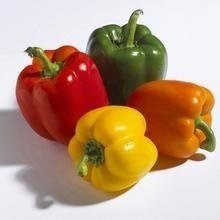 Capsicum annuum var. grossum Extract,Capsicum annuum Extract, Cayenne fruit extract, Capsi